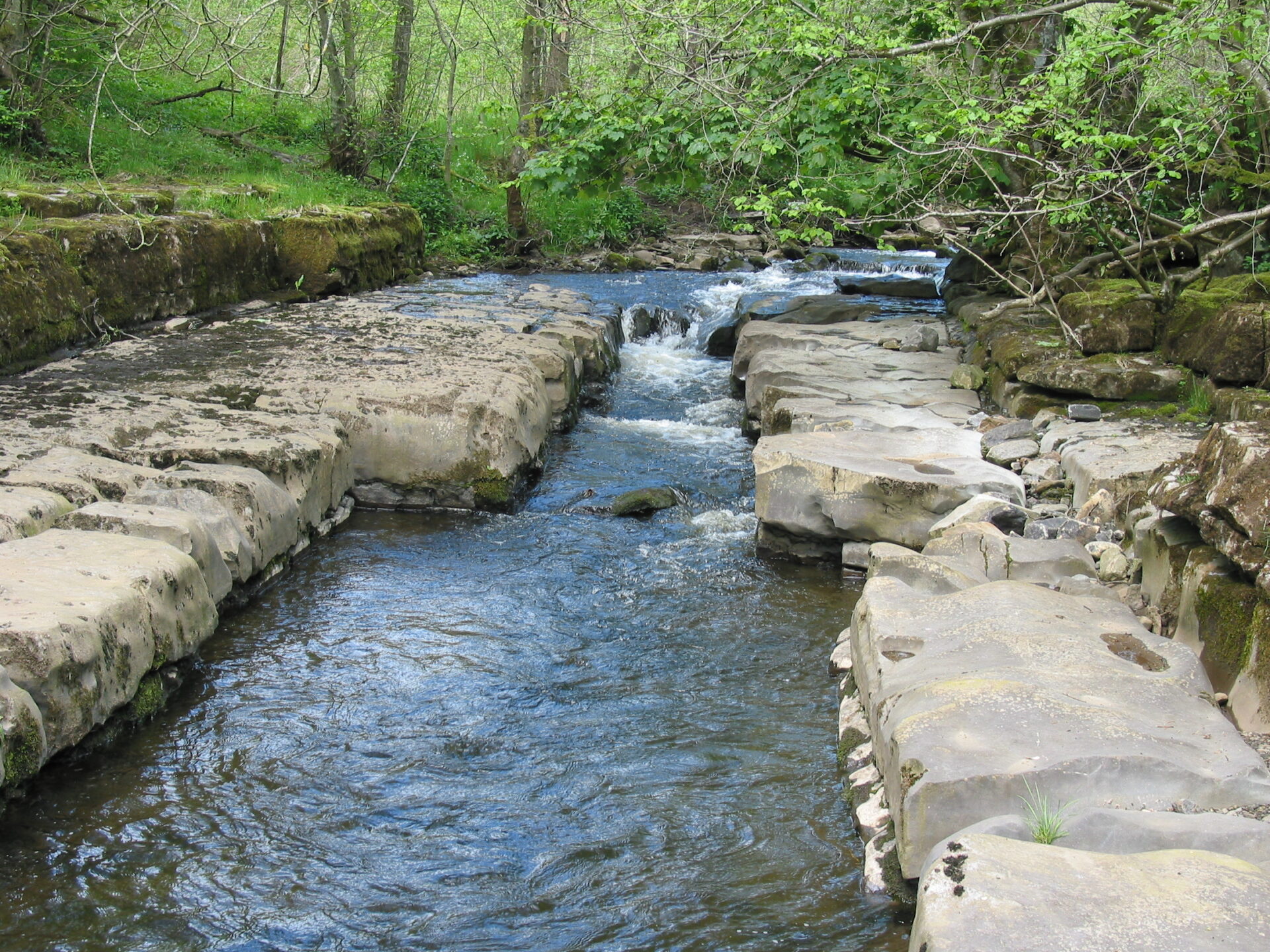 Limestone landscapes – North Pennines AONB