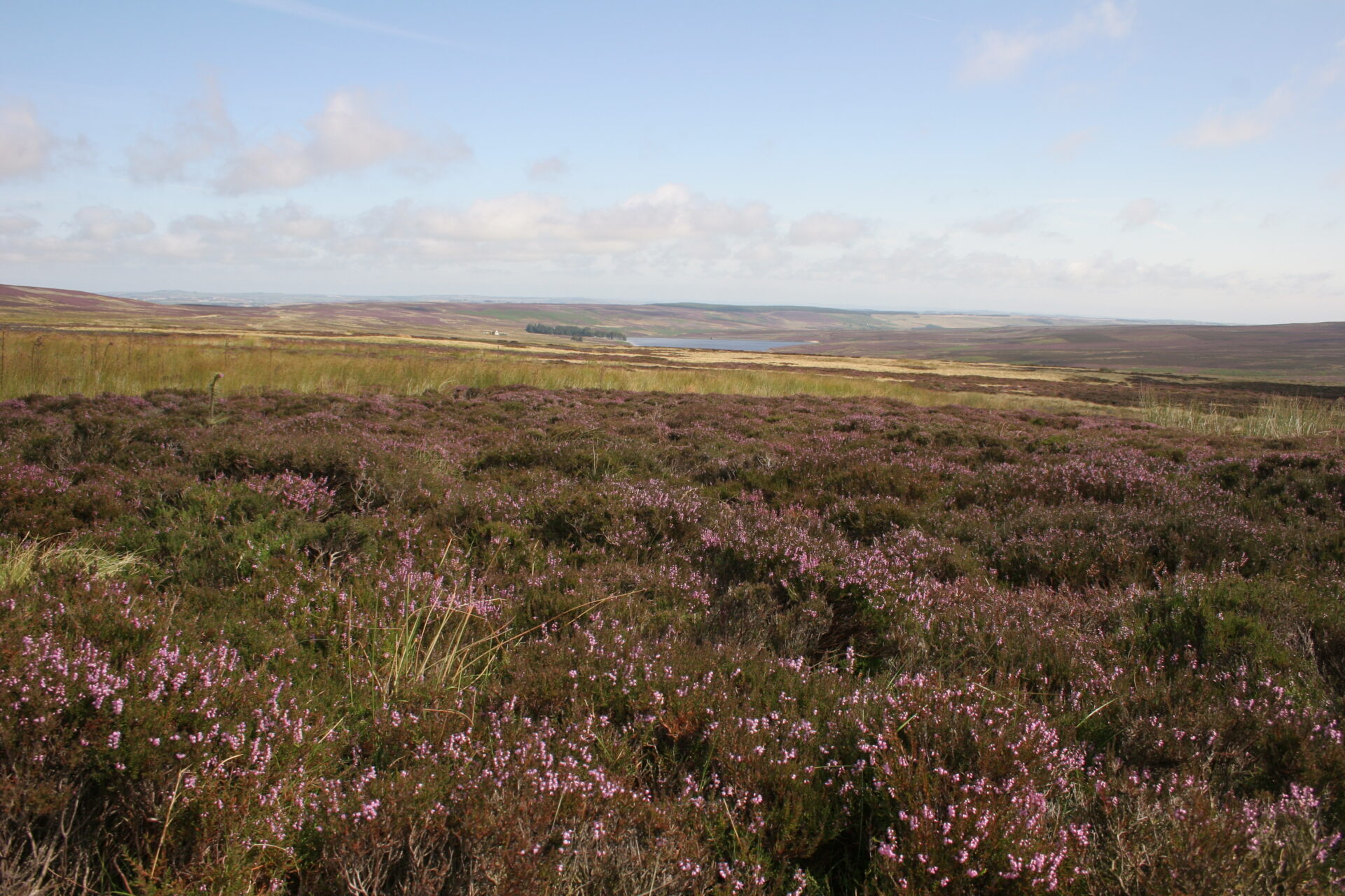 Waskerley Way railway path - North Pennines AONB