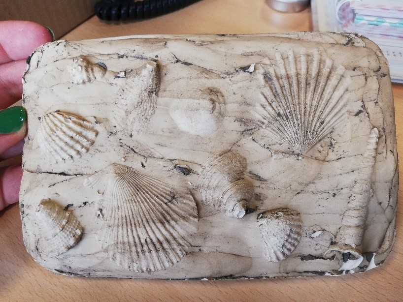 Geopark at home #5 – North Pennines National Landscape