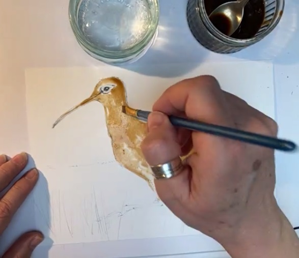 Curlew Calling draw-along – North Pennines AONB