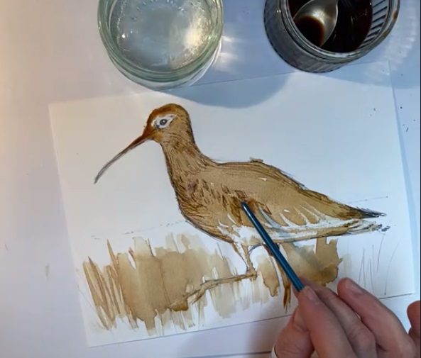 Curlew Calling draw-along – North Pennines AONB