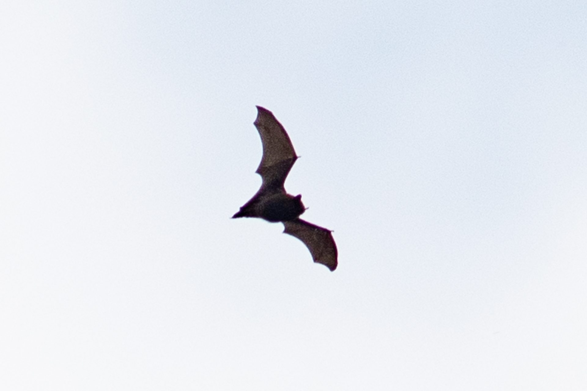 Upcoming Events – North Pennines National Landscape